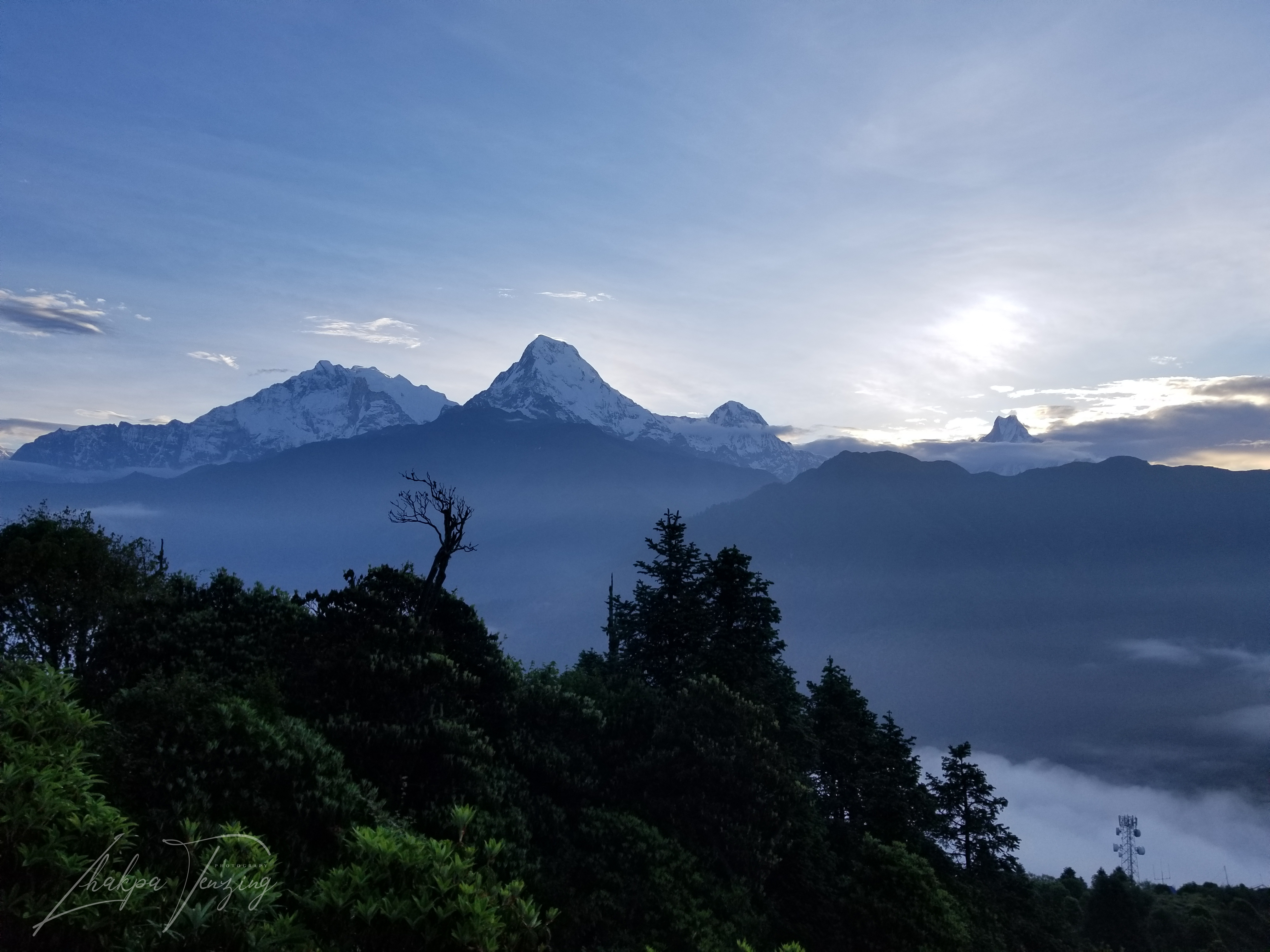 Contact Us | Altitude Expert